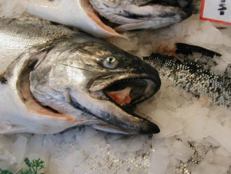 Lachs – warum Omega-3-Fische öfter auf den Teller gehören