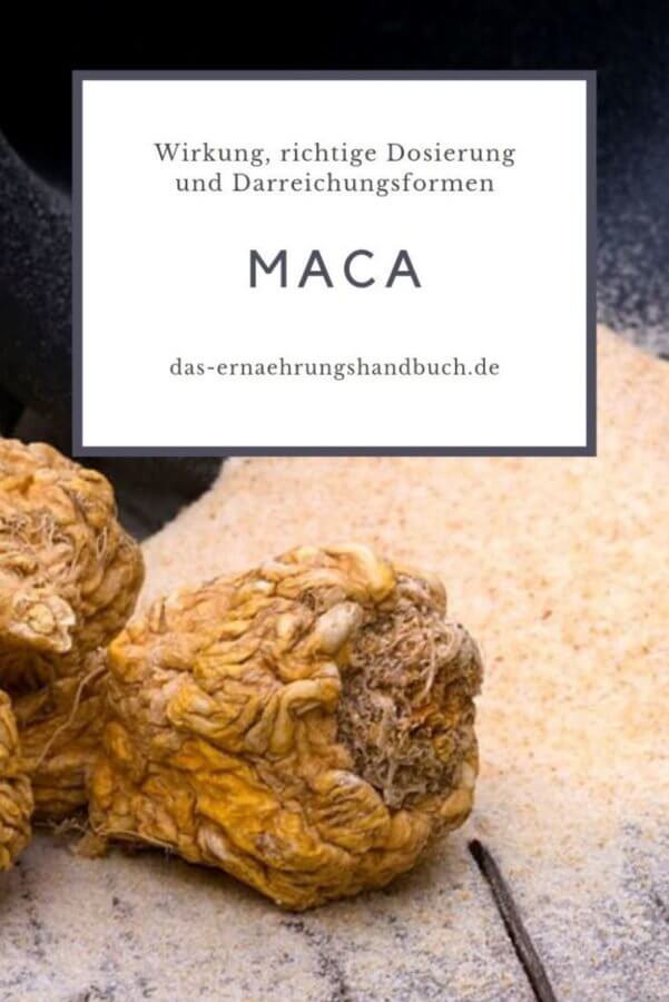 Maca – Wirkung, richtige Dosierung und Darreichungsformen