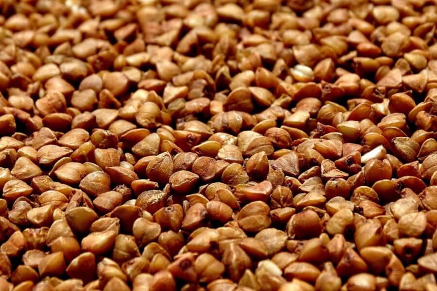 Buchweizen – nussiger Geschmack und frei von Gluten