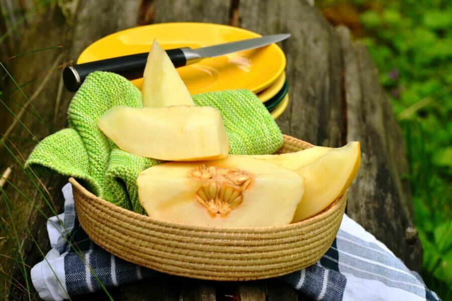 Honigmelone - Sonnengelbes Vitaminwunder