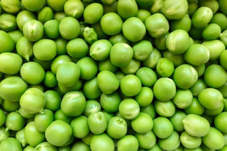 Der König und die Erbse