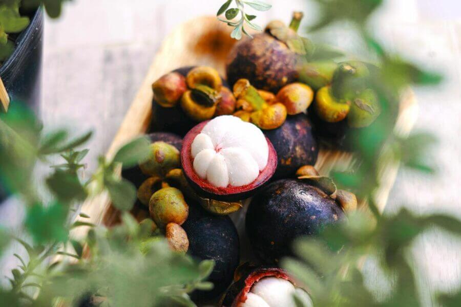 Mangostane – eine talentierte Exotin