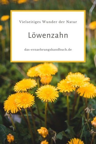 Löwenzahn: Ein vielseitiges Wunder der Natur