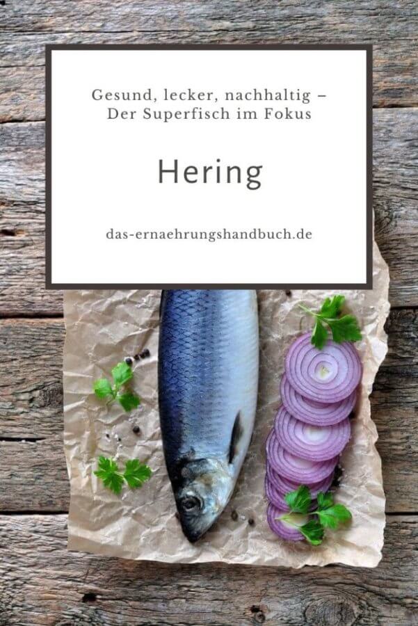 Hering: Gesund, lecker und nachhaltig – Der Superfisch im Fokus