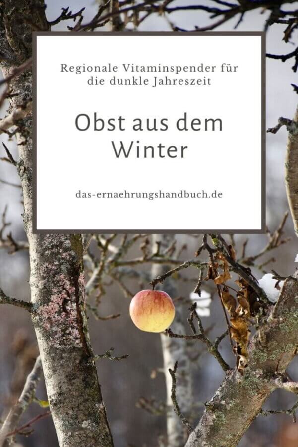 Obst aus dem Winter: Regionale Vitaminspender für die dunkle Jahreszeit